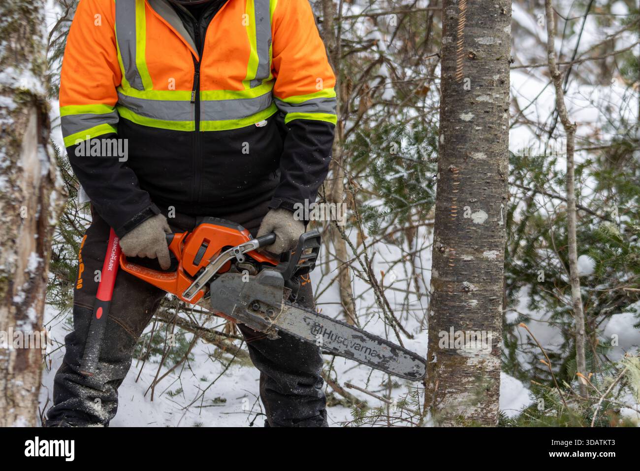 Man wearing orange gloves prepares hi-res stock photography and images ...