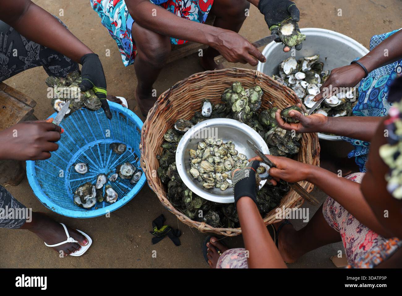 Women open freshly cooked oysters Aug. 6, 2025, in Tsokomey, Ghana. (AP ...