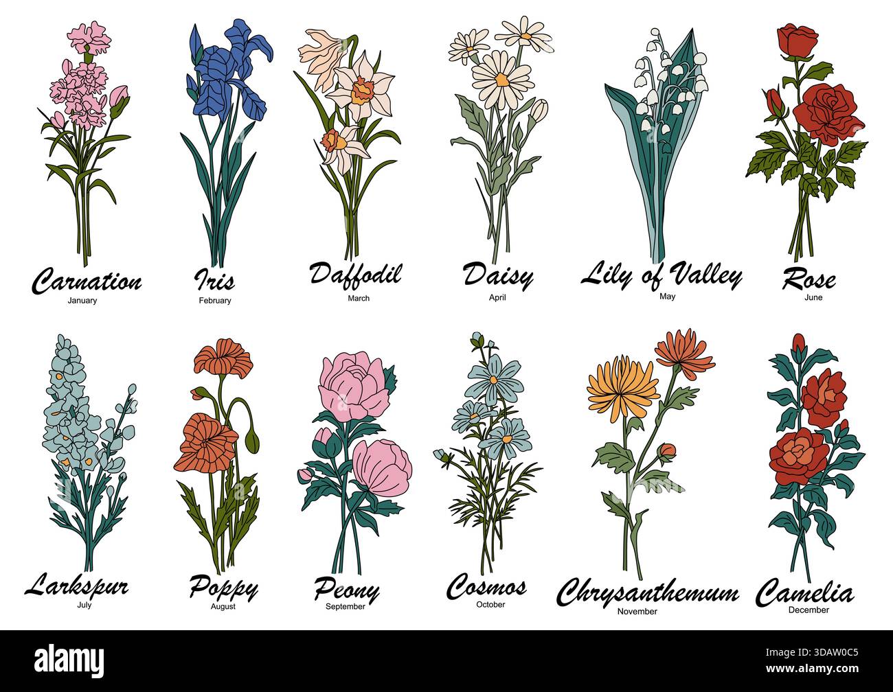 Delicate flower lily valley Stock Vector Images - Alamy