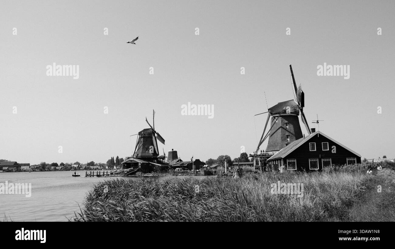 Travel in netherlands traditional Black and White Stock Photos & Images ...