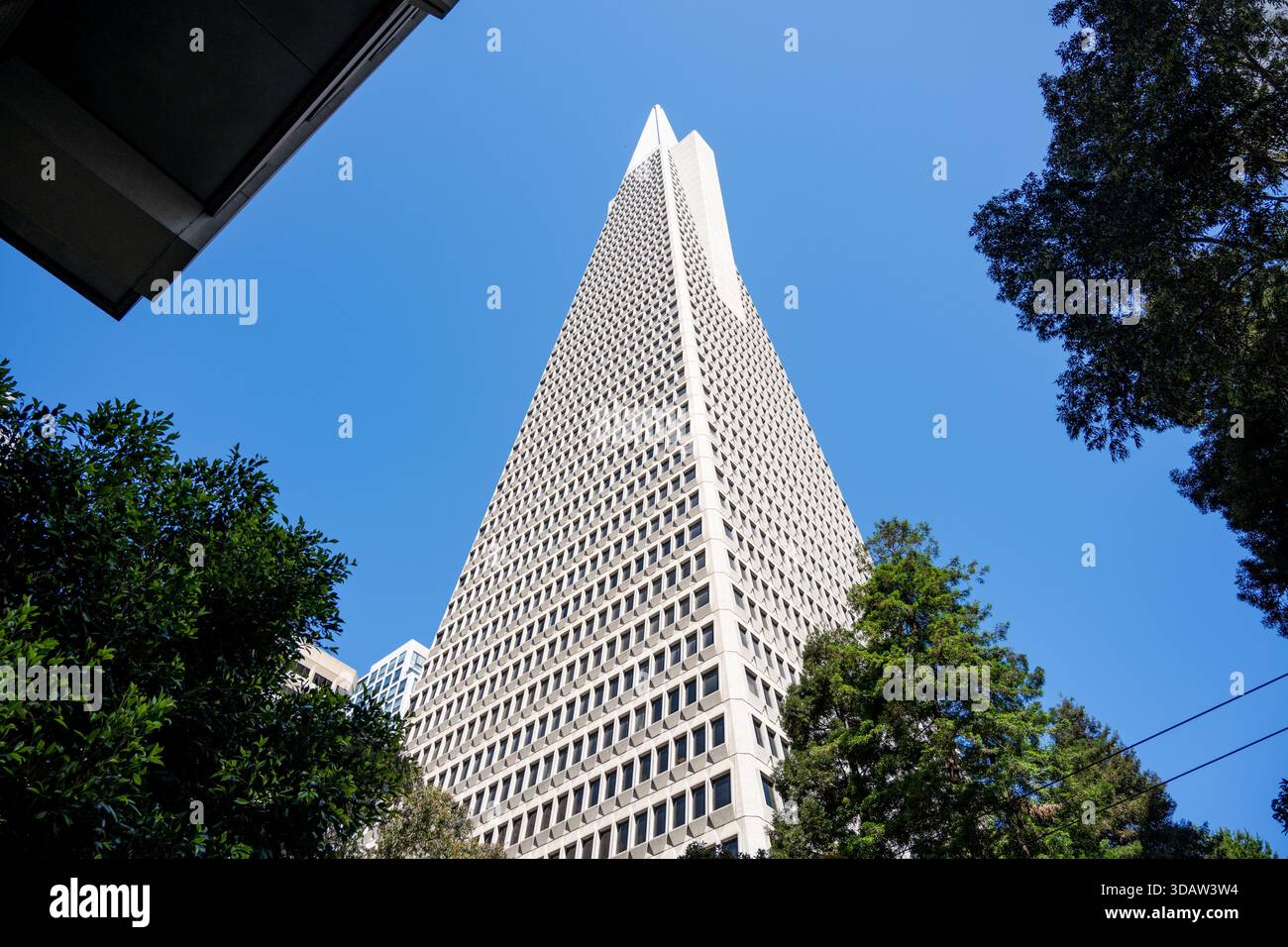 Transamerica Pyramid skyscraper rising toward blue sky, San Francisco ...