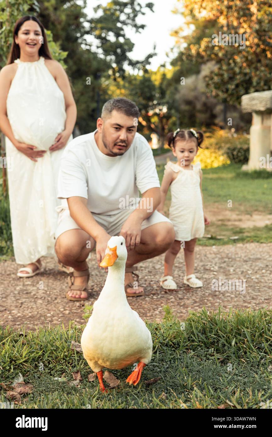 Pat day hi-res stock photography and images - Alamy