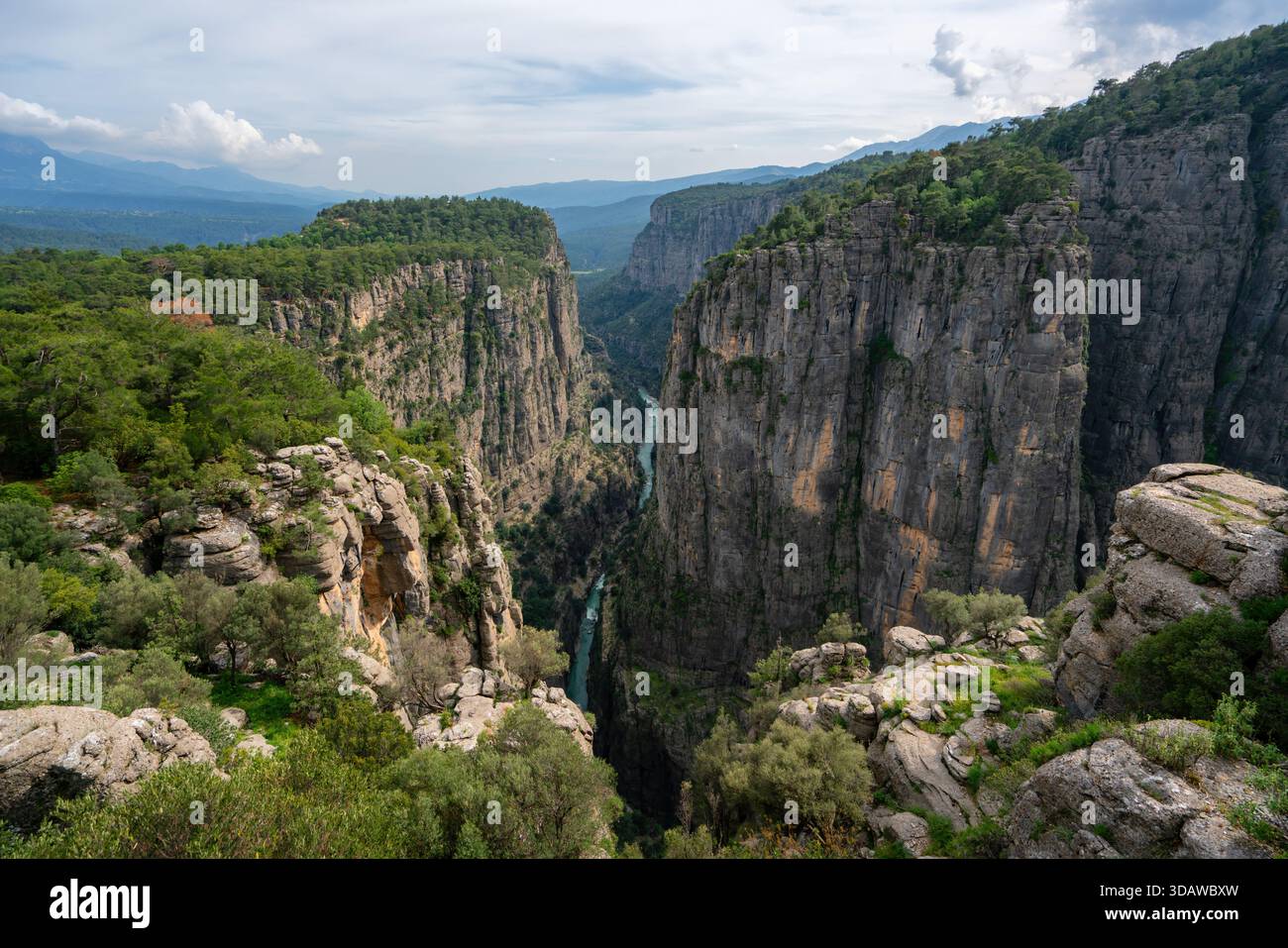 Taz hi-res stock photography and images - Alamy
