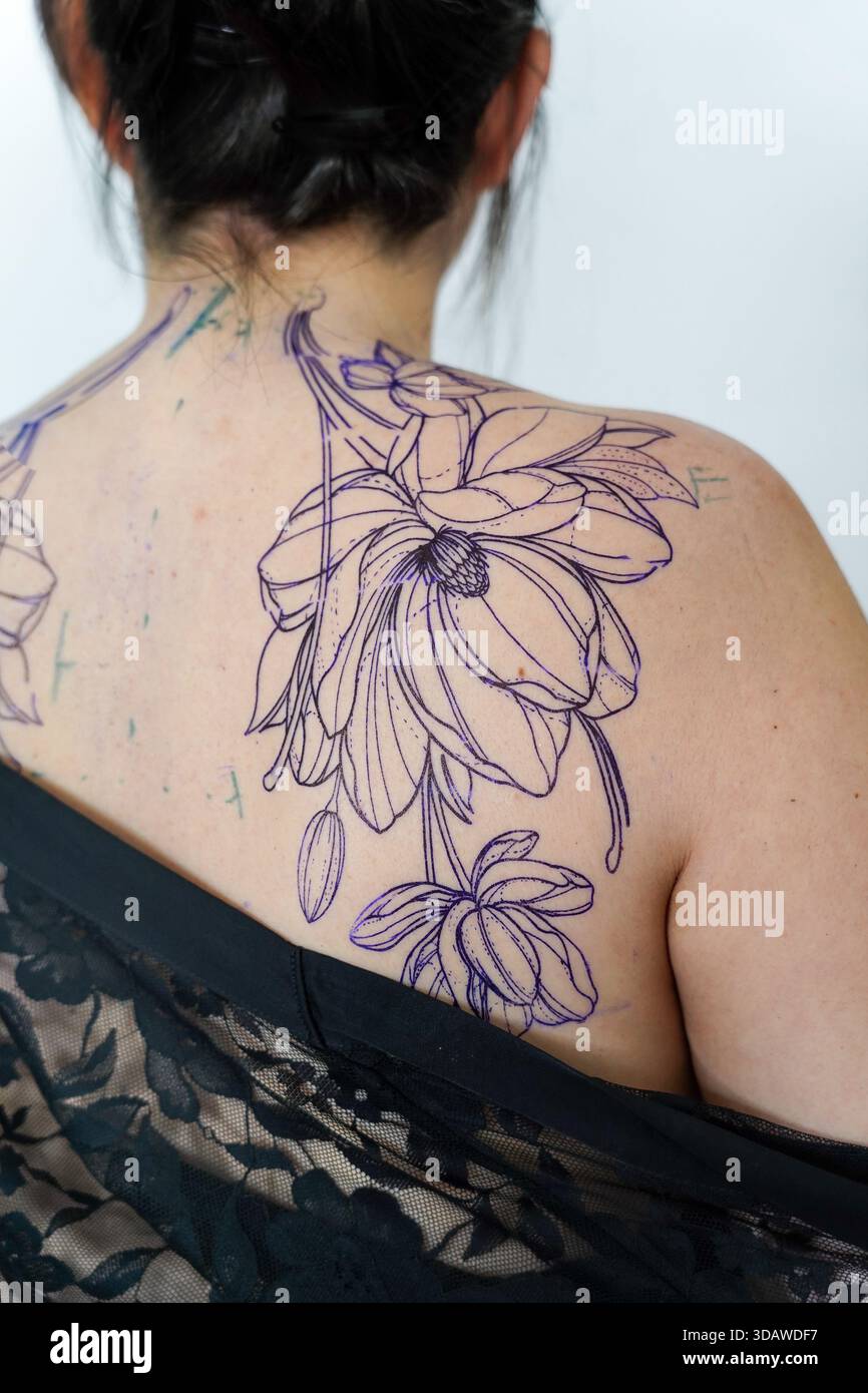 Showcases delicate patterns hi-res stock photography and images - Alamy