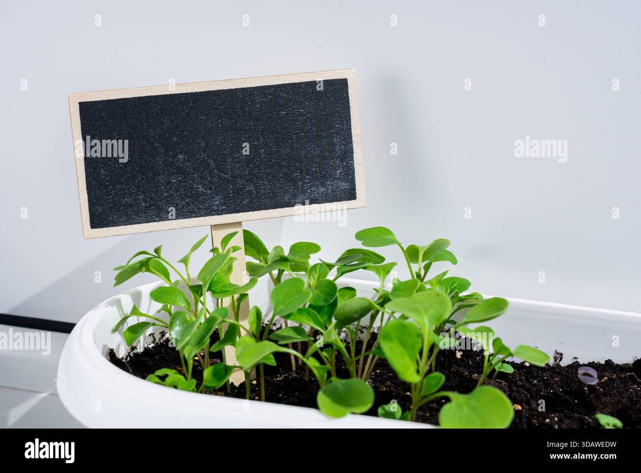 Personalized labeling hi-res stock photography and images - Alamy