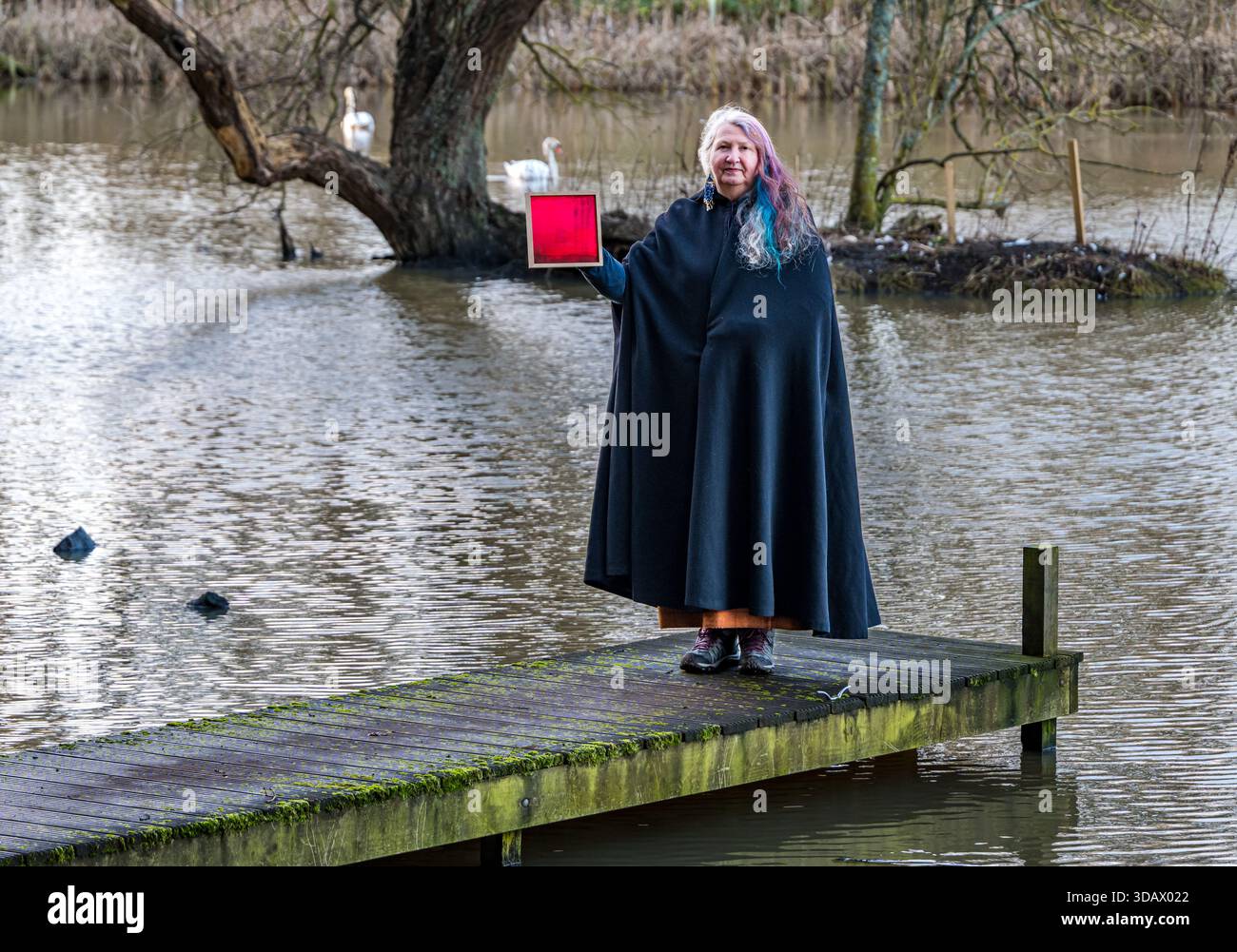 Balgone Lake, East Lothian, Scotland, UK, 12th December 2025. Nature ...