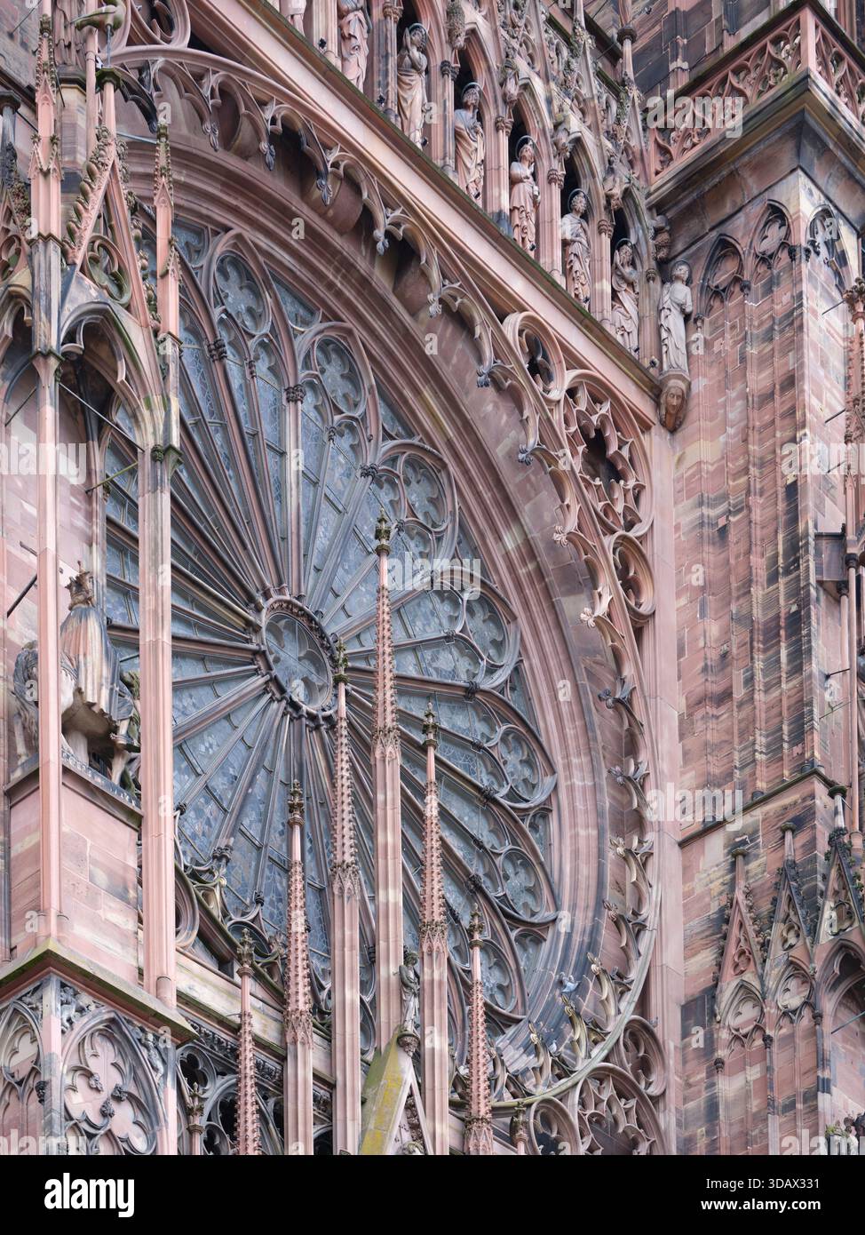 West facade of the Gothic Strasbourg Cathedral with its curtain wall ...