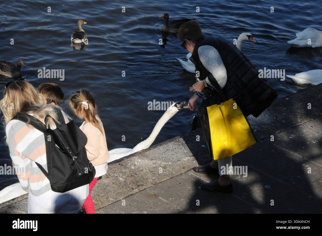 Hamburg /Germany. 06. October 2018.. People enjoy sunny day and feeding ...