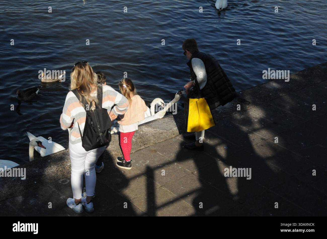 Hamburg /Germany. 06. October 2018.. People enjoy sunny day and feeding ...