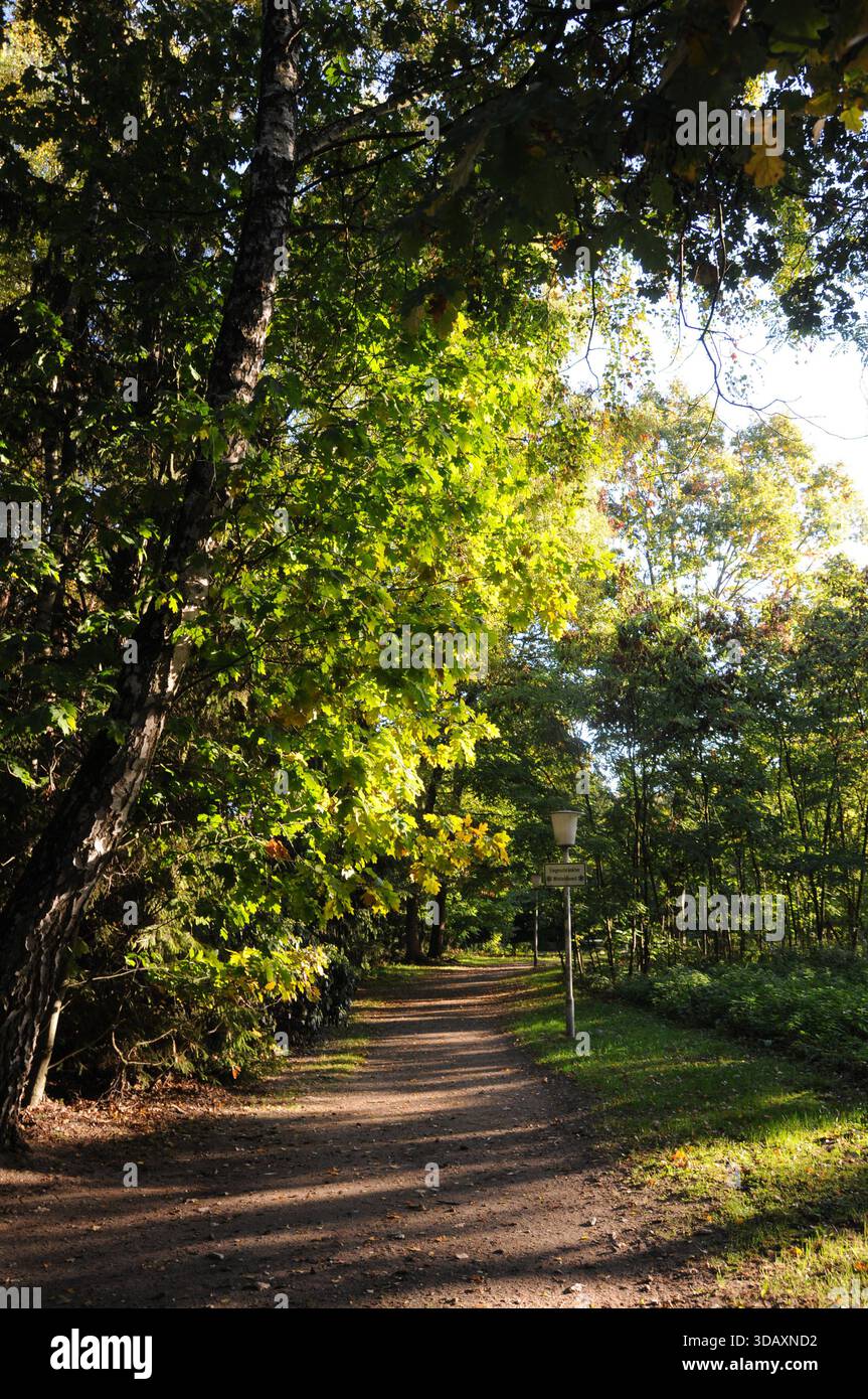 Bad Bramstedt /Germany. 07.October 2018.. Falls and autumn leaves and ...