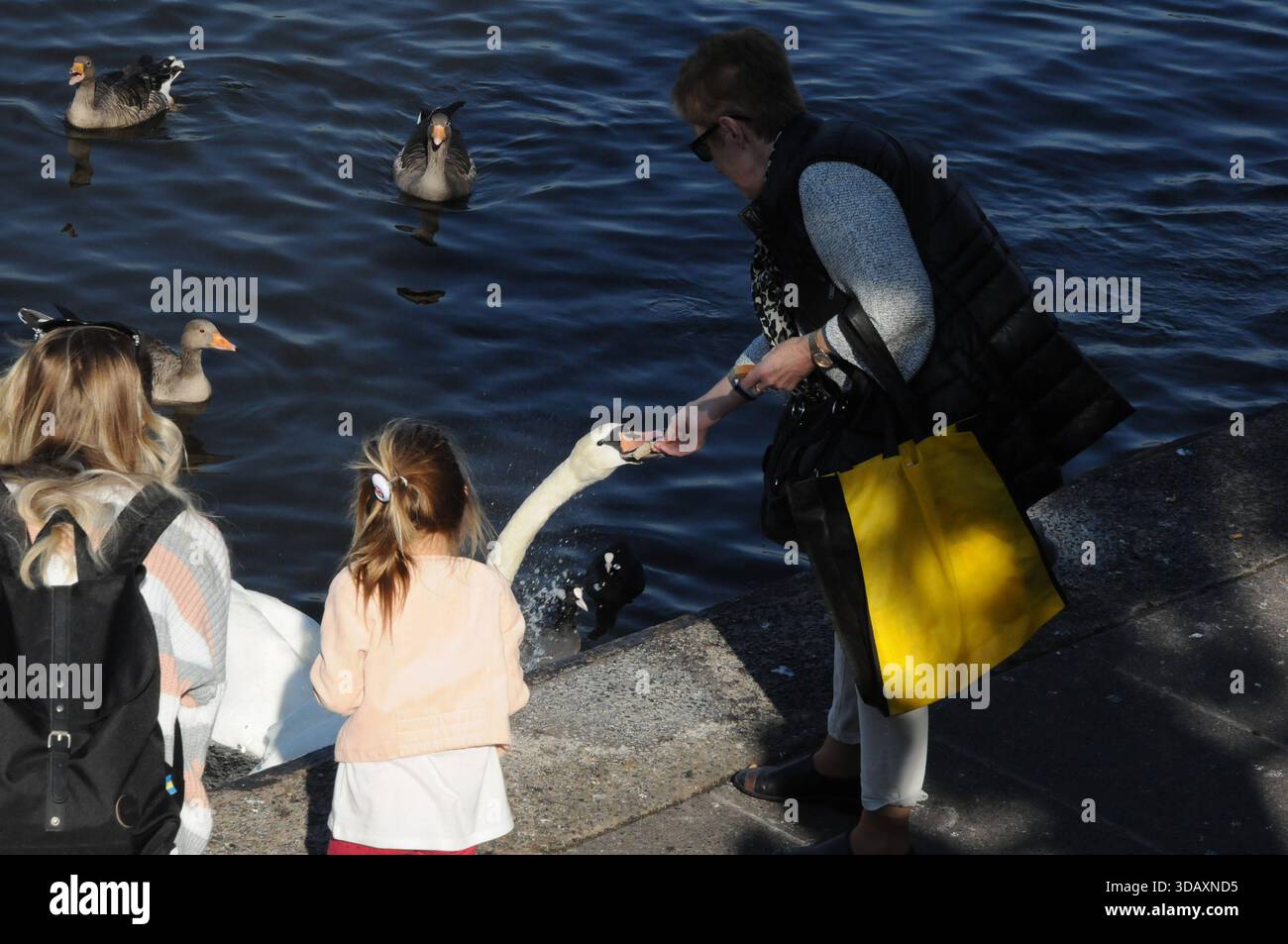 Hamburg /Germany. 06. October 2018.. People enjoy sunny day and feeding ...