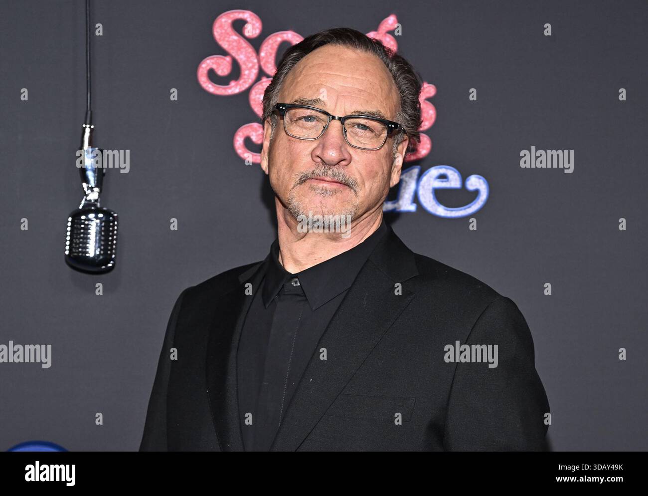 Jim Belushi attends the premiere of "Song Sung Blue" at AMC Lincoln ...