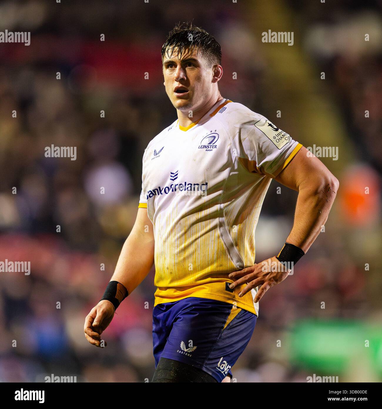 Dan sheehan leinster rugby hi-res stock photography and images - Alamy