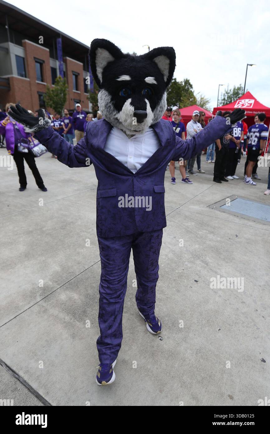 SEATTLE, WA - SEPTEMBER 27: Washington mascot Harry was all business ...