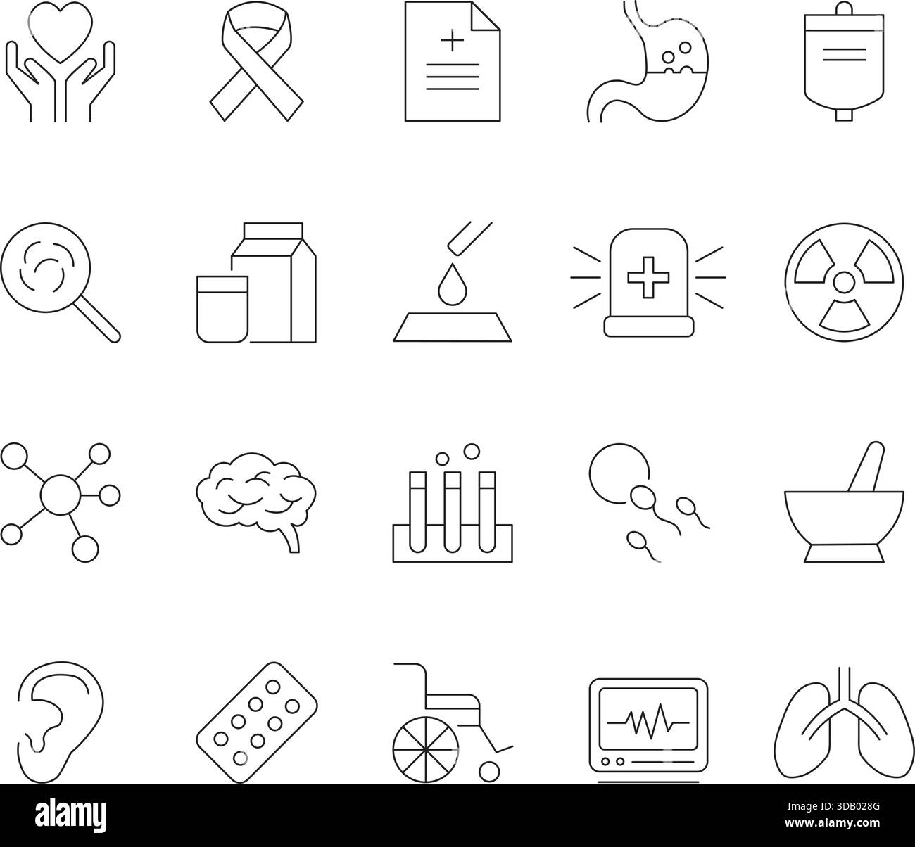 Clinical anatomy vector vectors Black and White Stock Photos & Images ...
