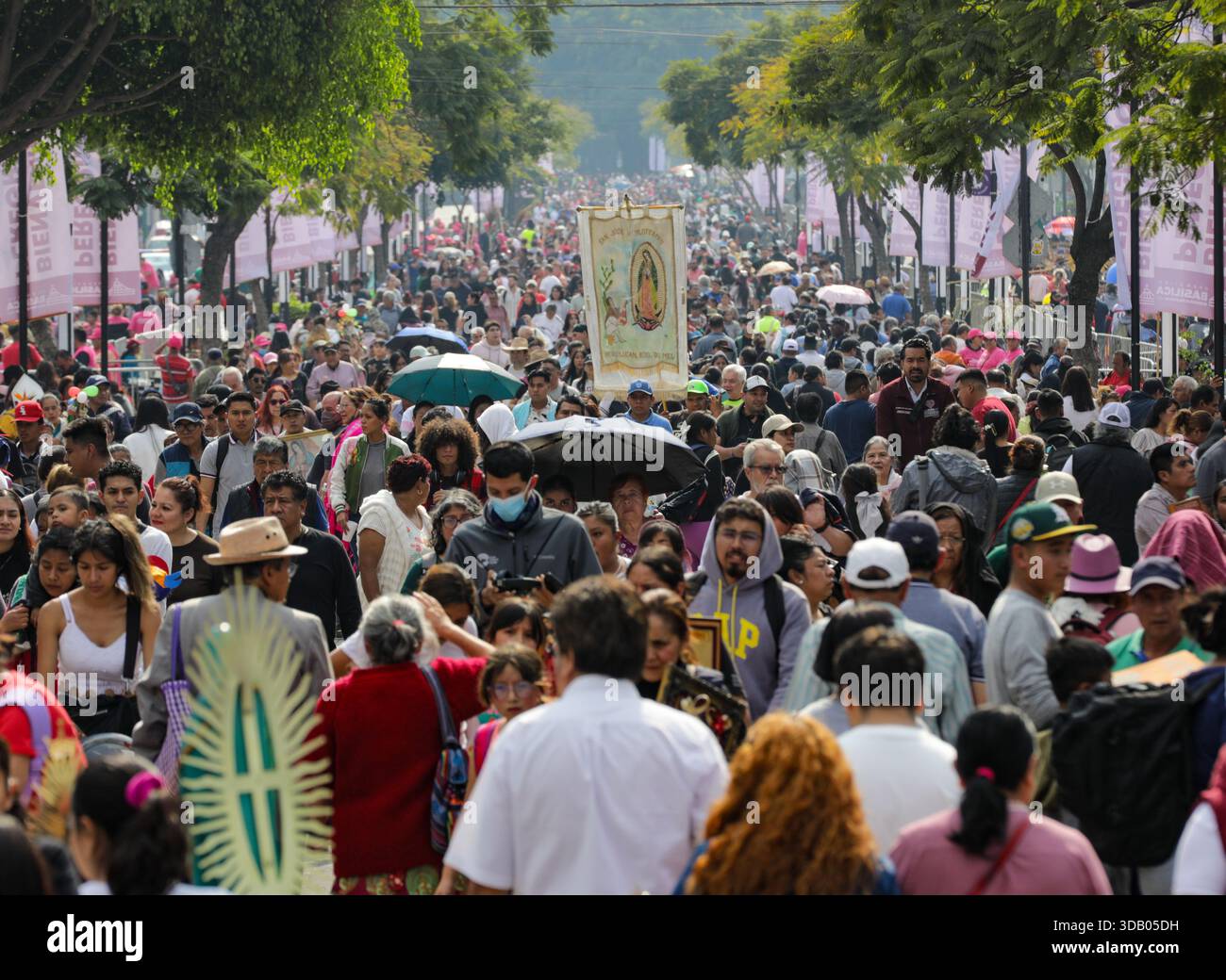 Faithfuls of the Virgin of Guadalupe arrive at the Basilica of ...