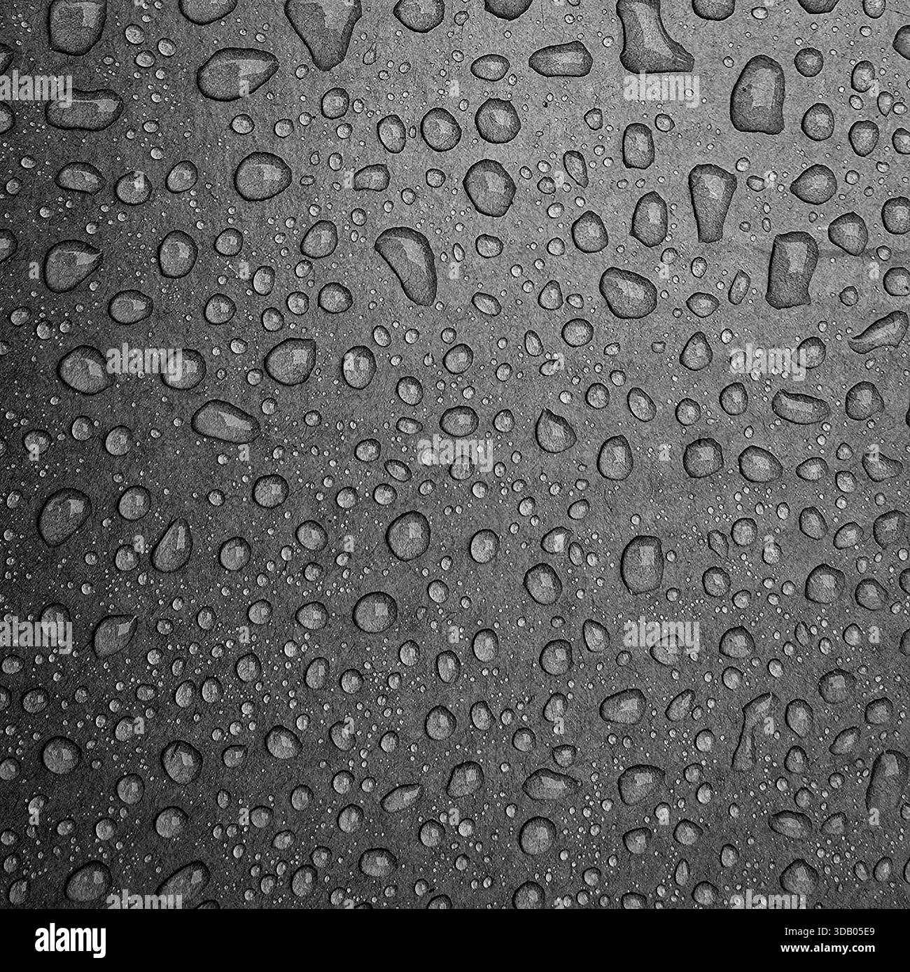 Branding surface Black and White Stock Photos & Images - Alamy