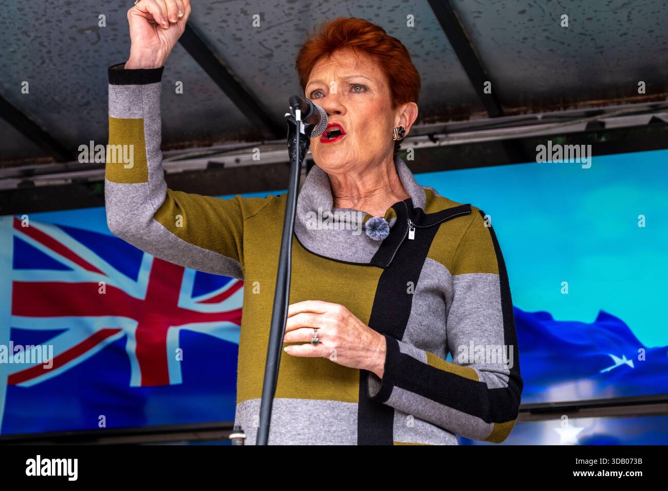 Pauline hanson queensland hi-res stock photography and images - Alamy