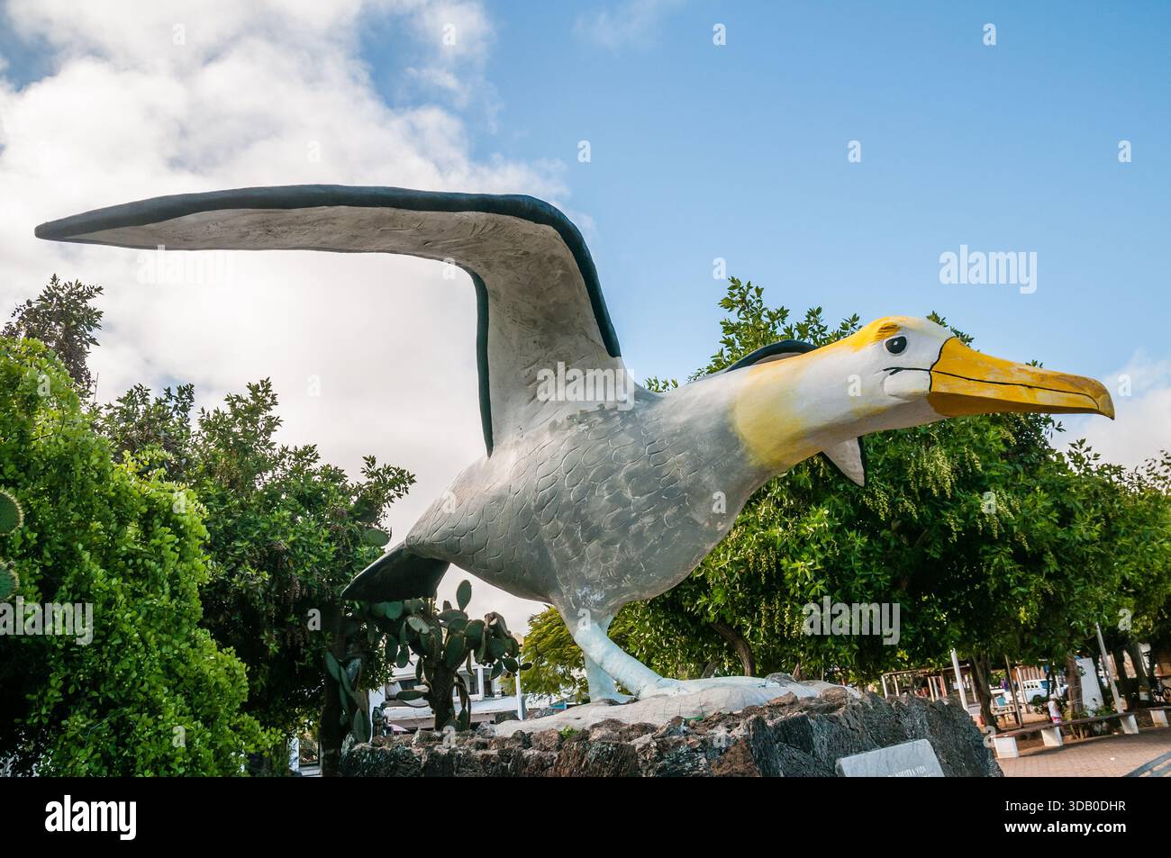 Islas albatros hi-res stock photography and images - Alamy