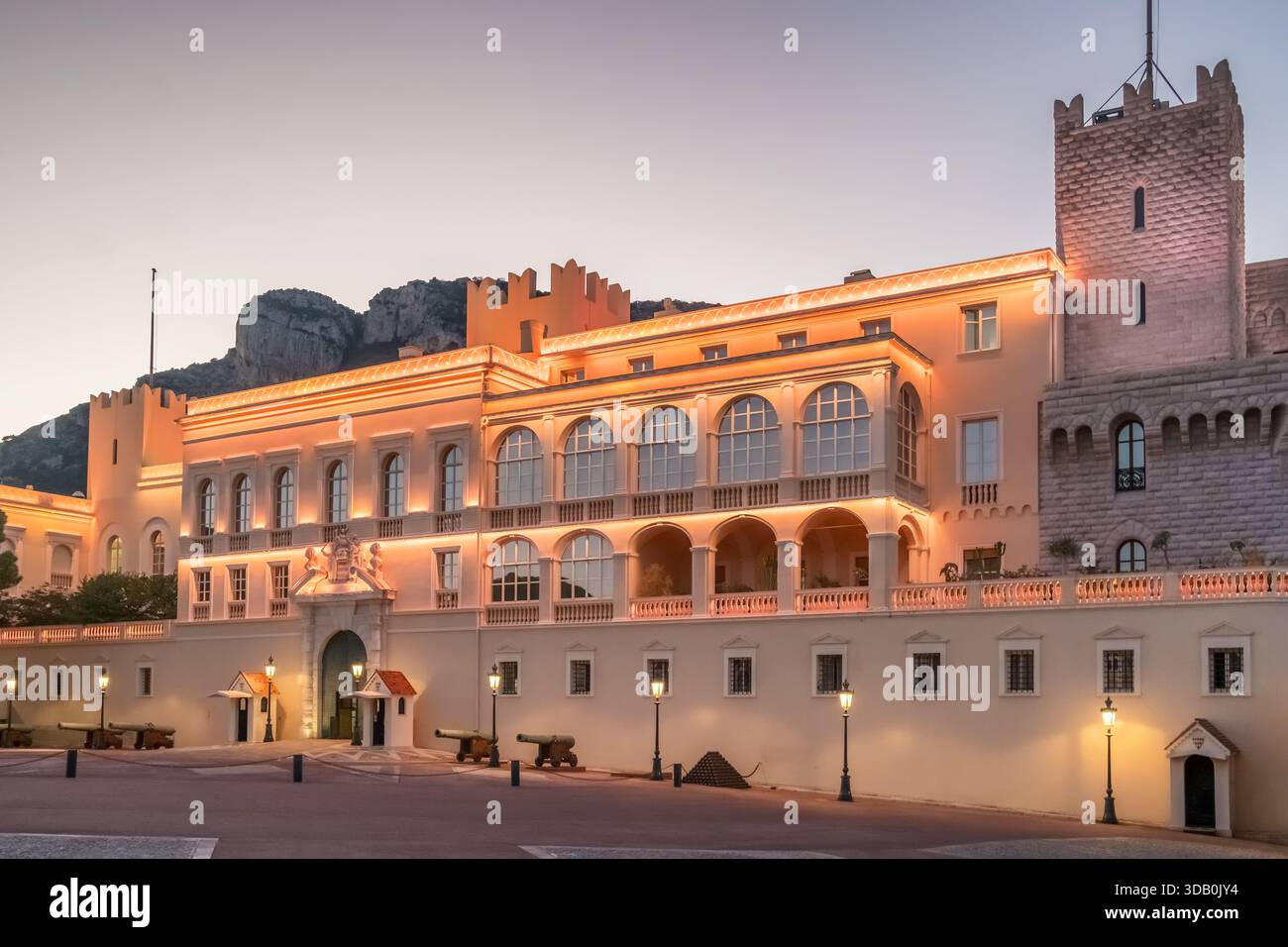 Prince's Palace of Monaco historic landmark and official residence of ...