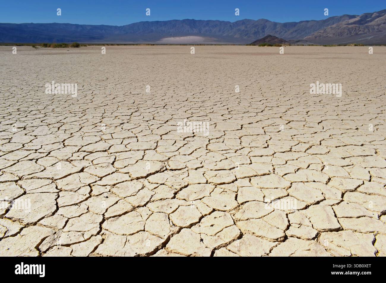 Global environmental problem hi-res stock photography and images - Alamy