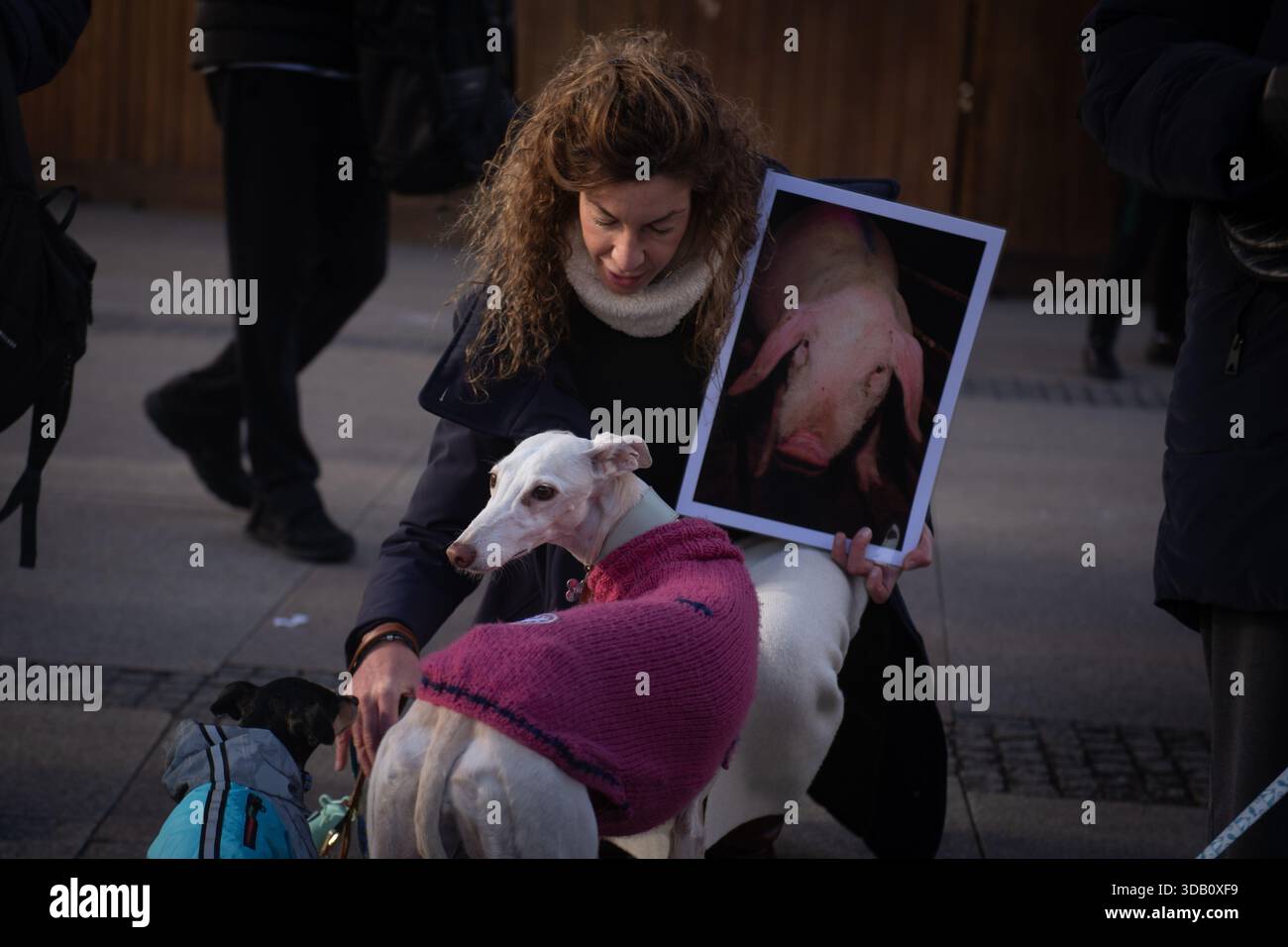 Rally for International Animal Rights Day (DIDA), organized by Igualdad ...