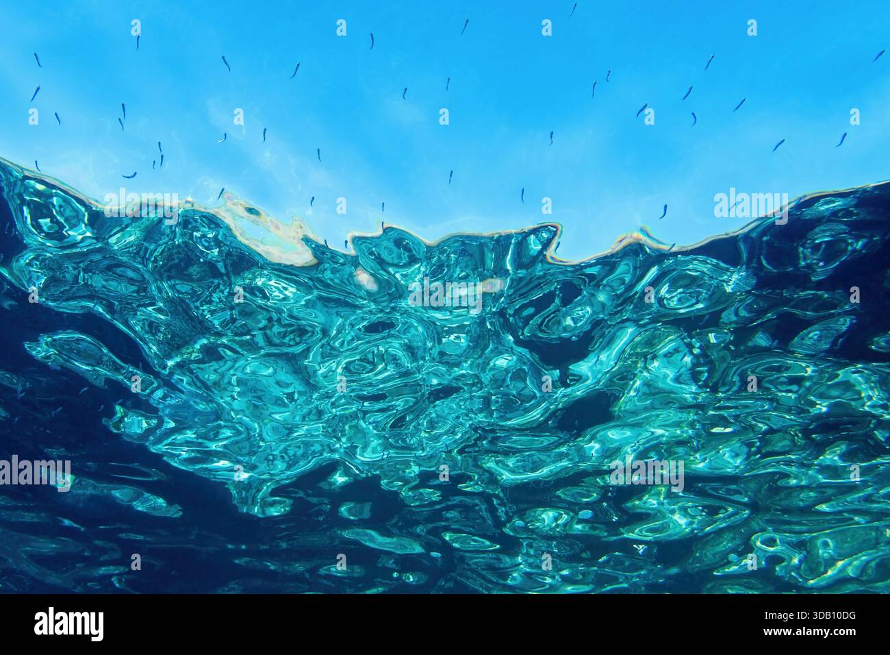 Water surface viewed under hi-res stock photography and images - Alamy