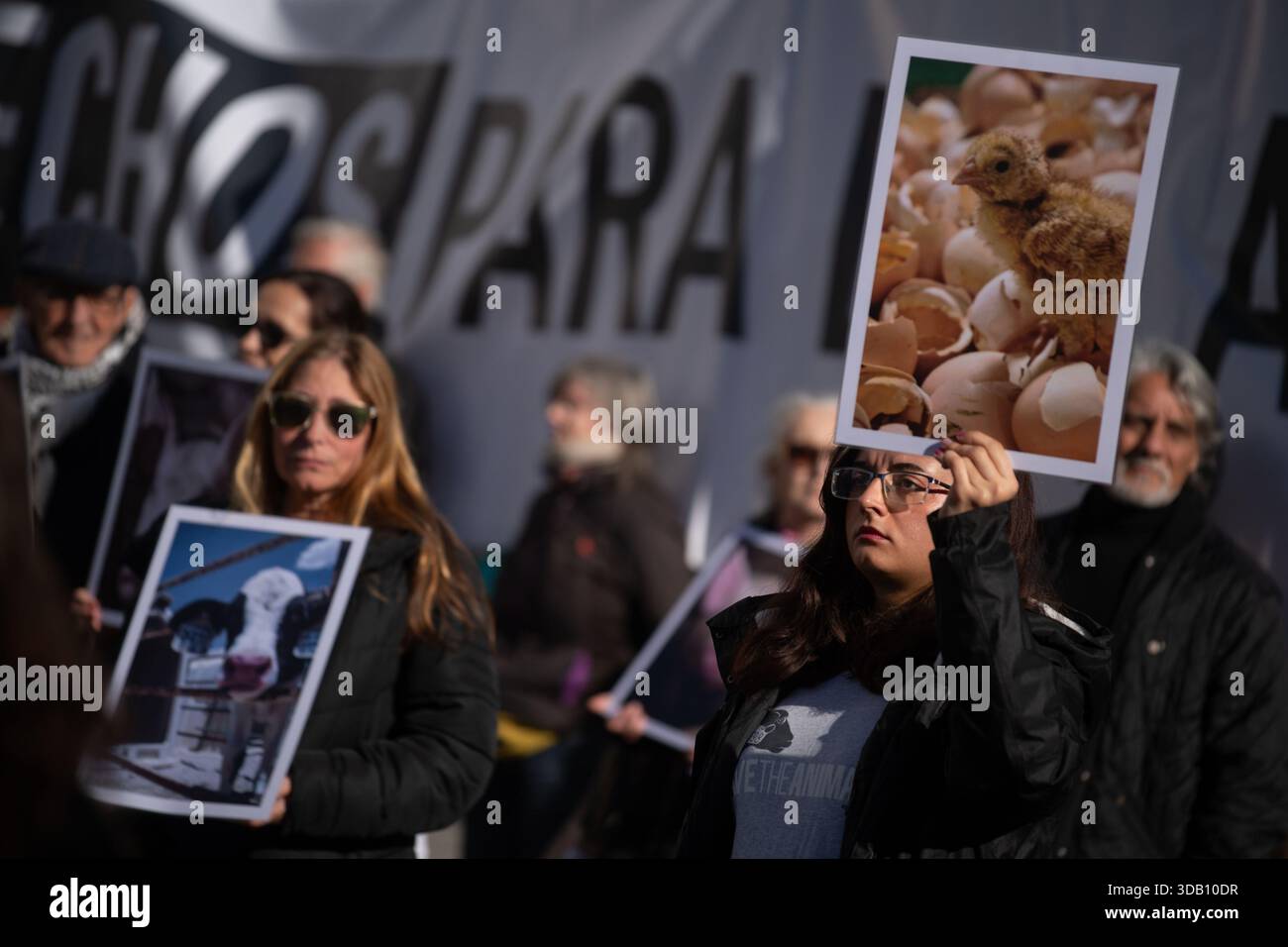 Rally for International Animal Rights Day (DIDA), organized by Igualdad ...