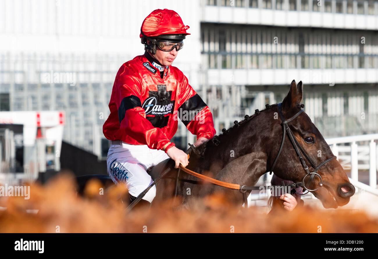 Venetia williams charlie hi-res stock photography and images - Alamy