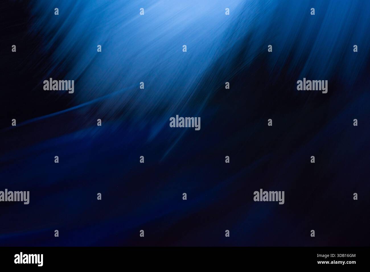 Soft dark blue environment surrounds luminous spots in this mystical ...