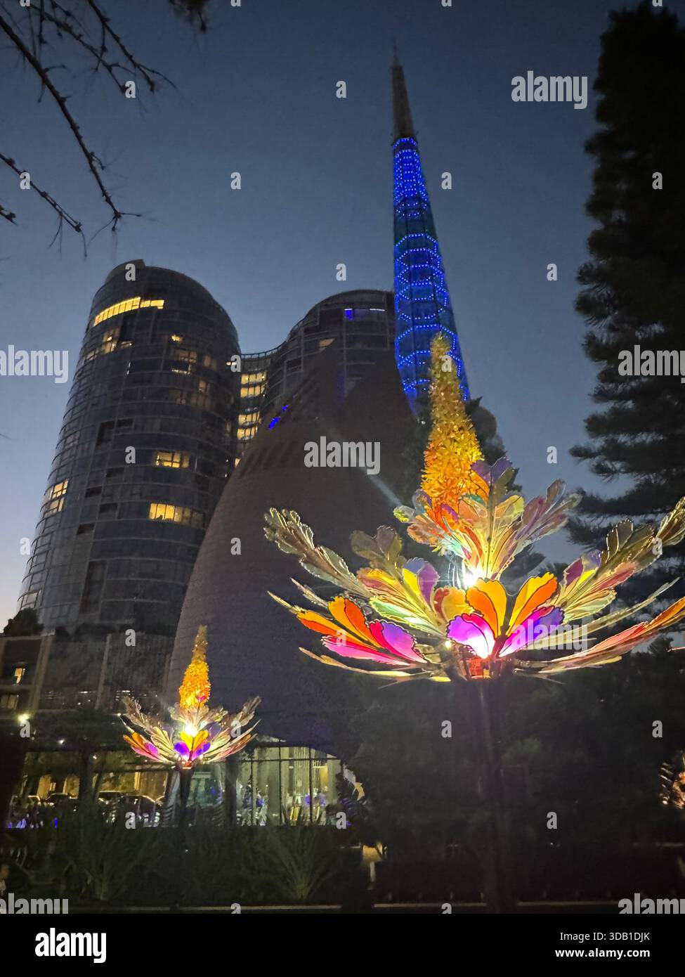 Christmas decorations Moodjar sentinels native Australian Christmas ...