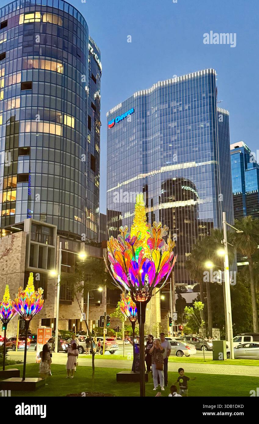 Christmas decorations Moodjar sentinels native Australian Christmas ...