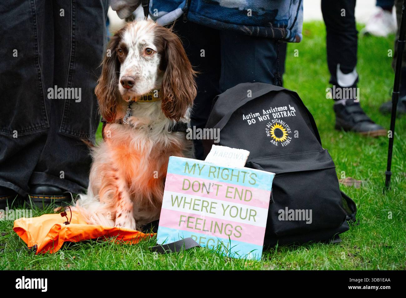 Edinburgh, Scotland, UK. 13th December 2025. Group calling for ban on ...