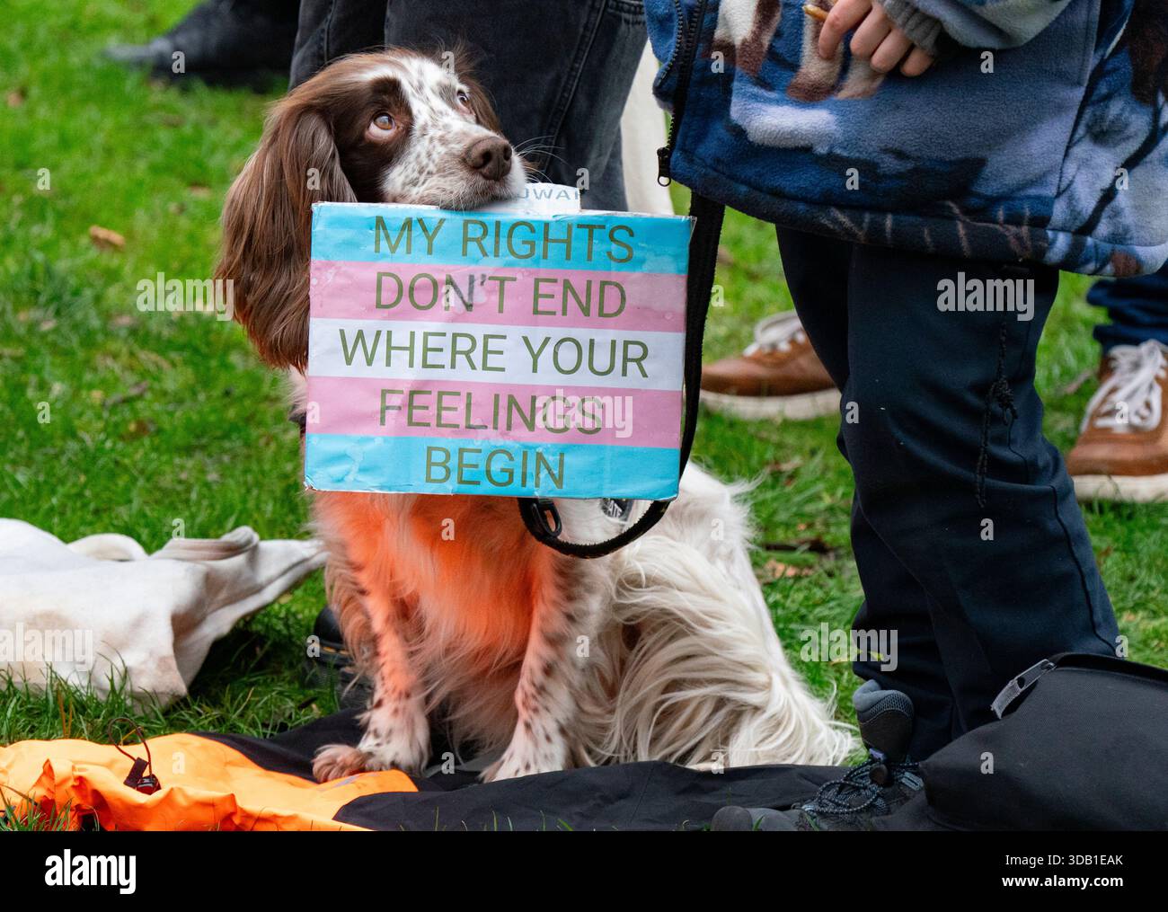 Edinburgh, Scotland, UK. 13th December 2025. Group calling for ban on ...
