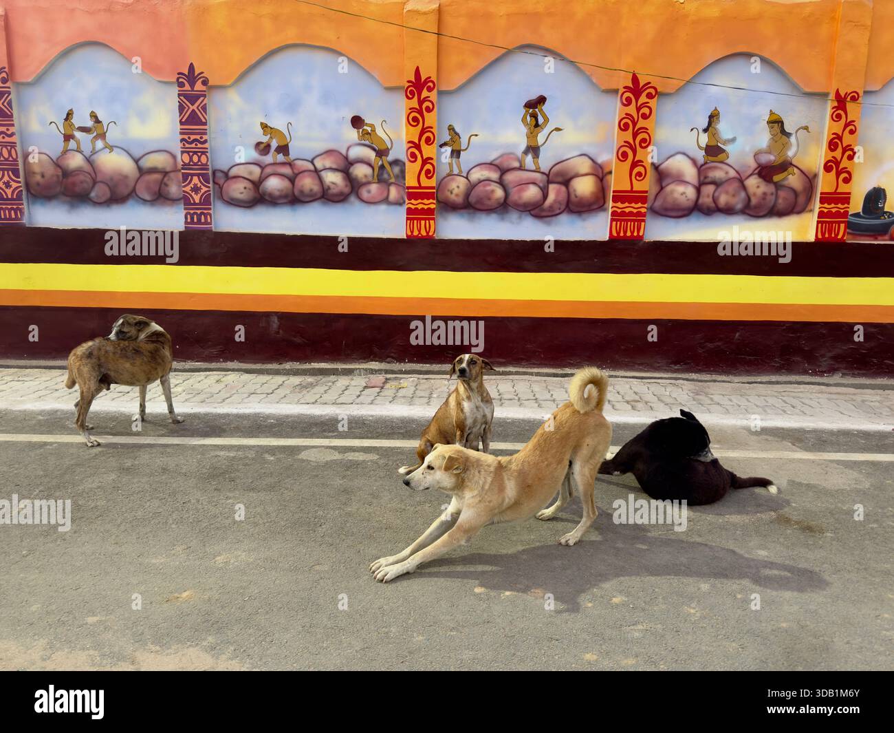 A stray dog stretches against the backdrop of frescoes on Ramayana in ...
