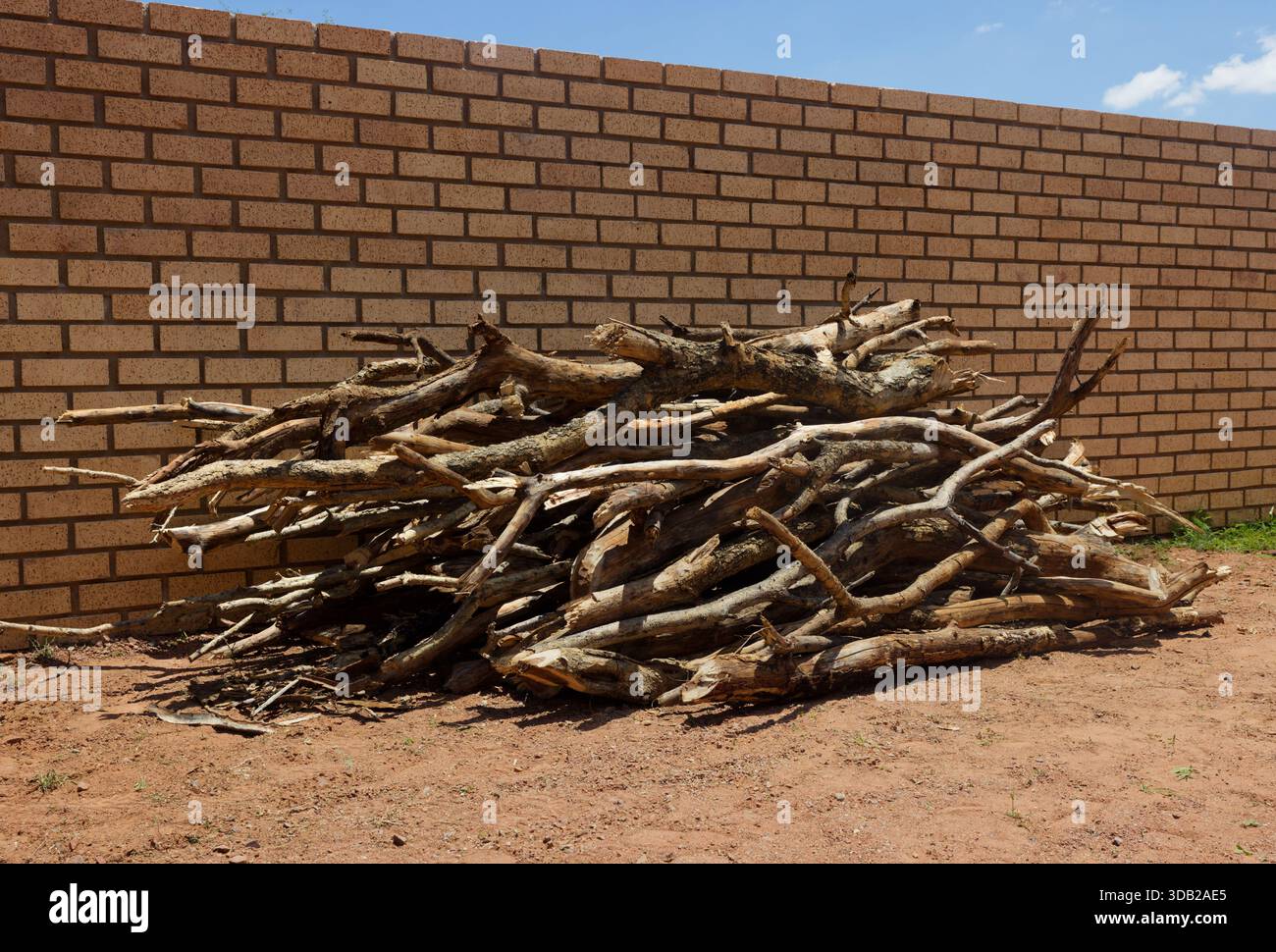 Under mopane tree hi-res stock photography and images - Alamy