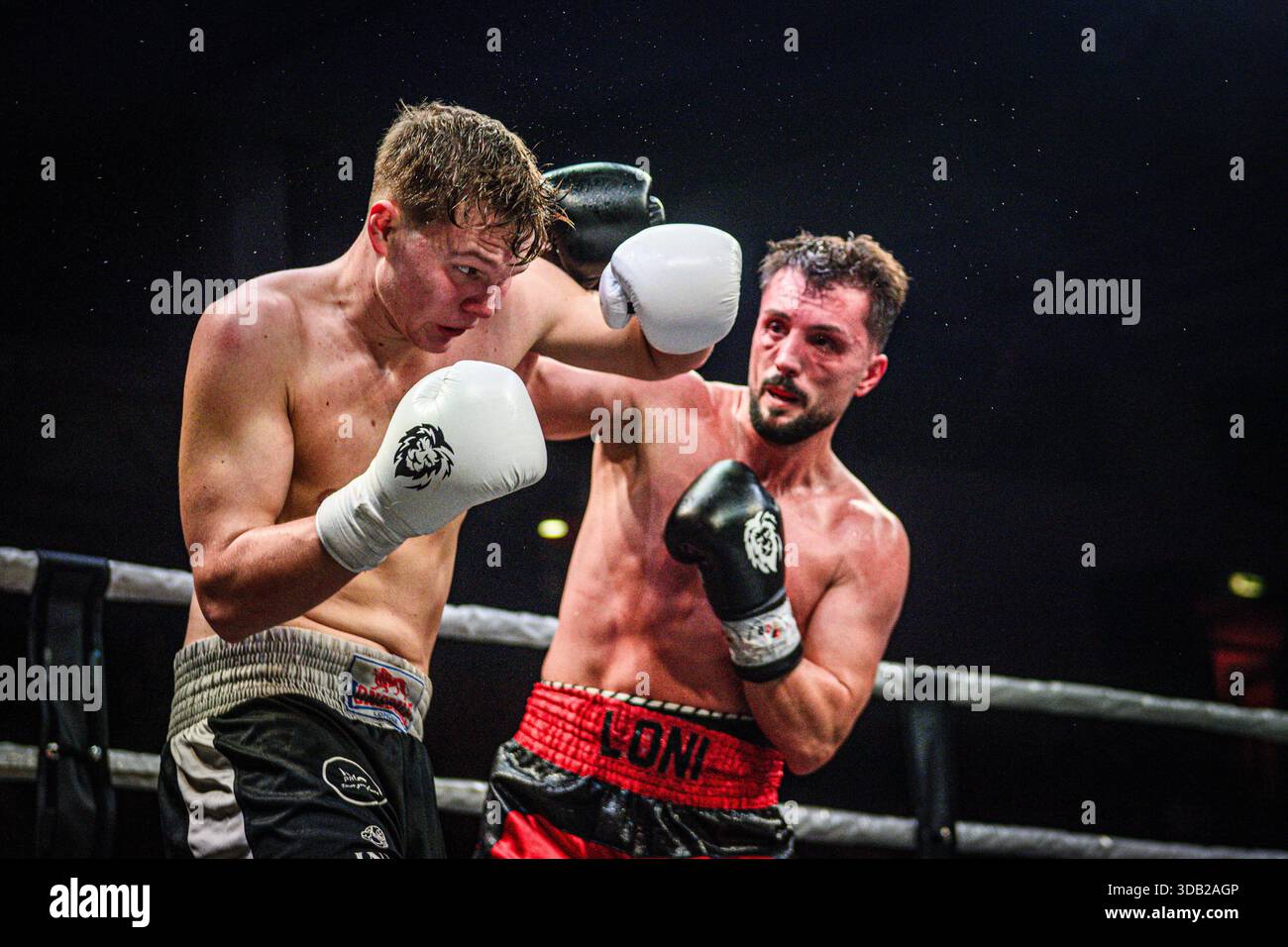 Valon Gashi (Germany) Blue Corner vs. Alex Frantisek Dzubak (Slovakia ...