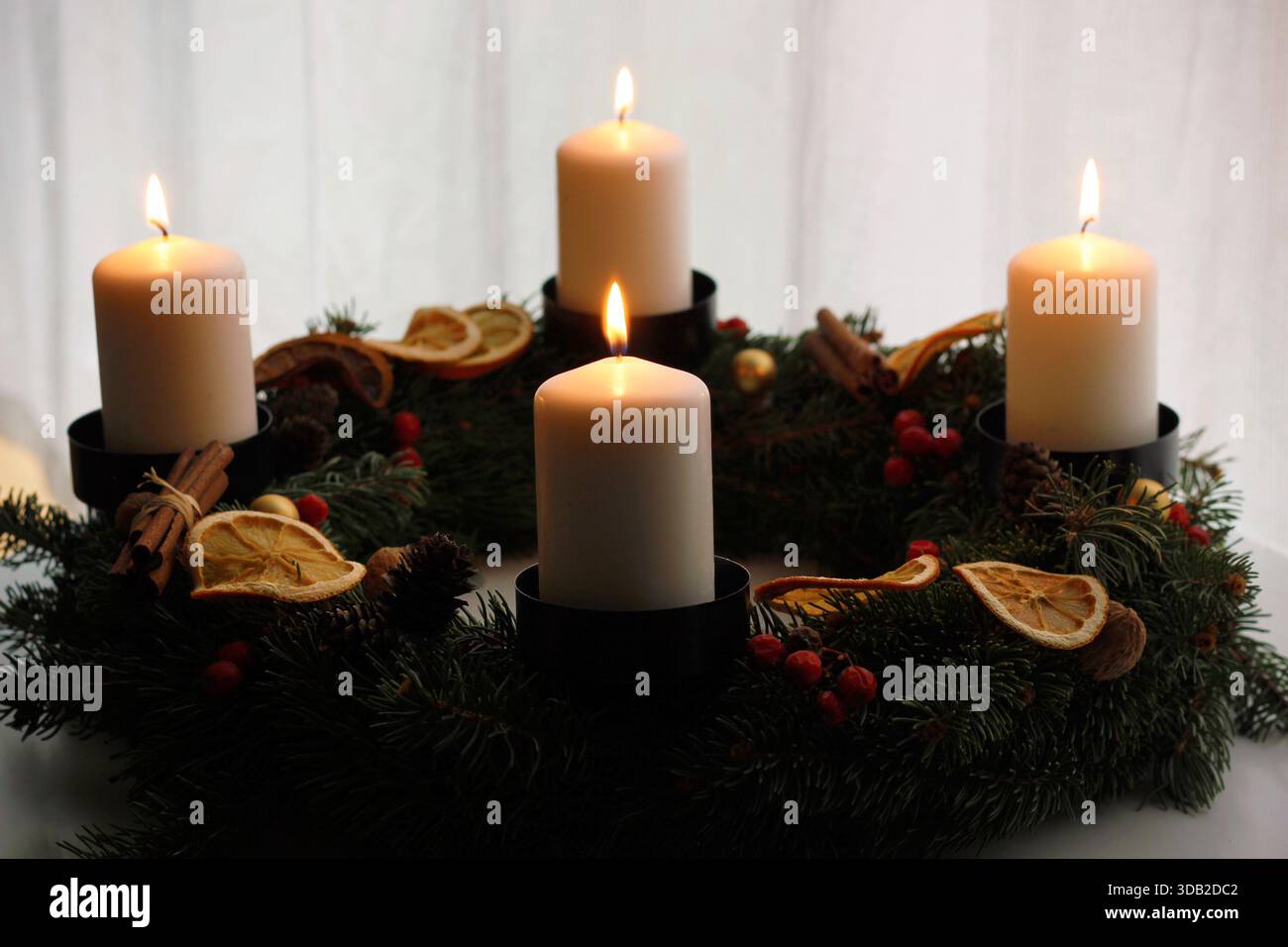 Handmade advent wreath with four burning white candles, spruce branches ...