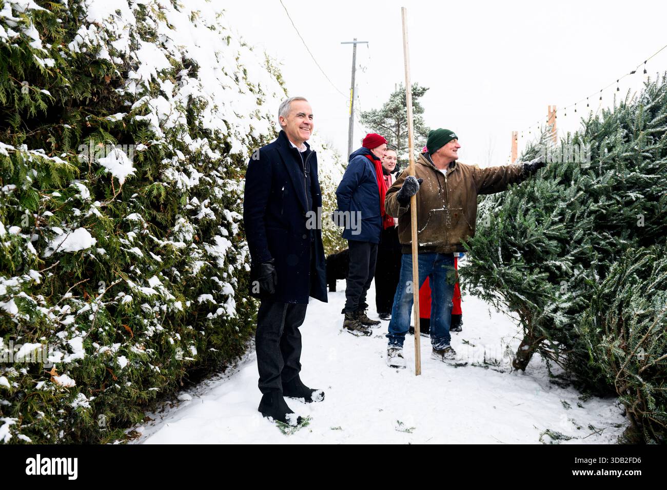 Prime Minister Mark Carney looks towards a row of Christmas trees at ...