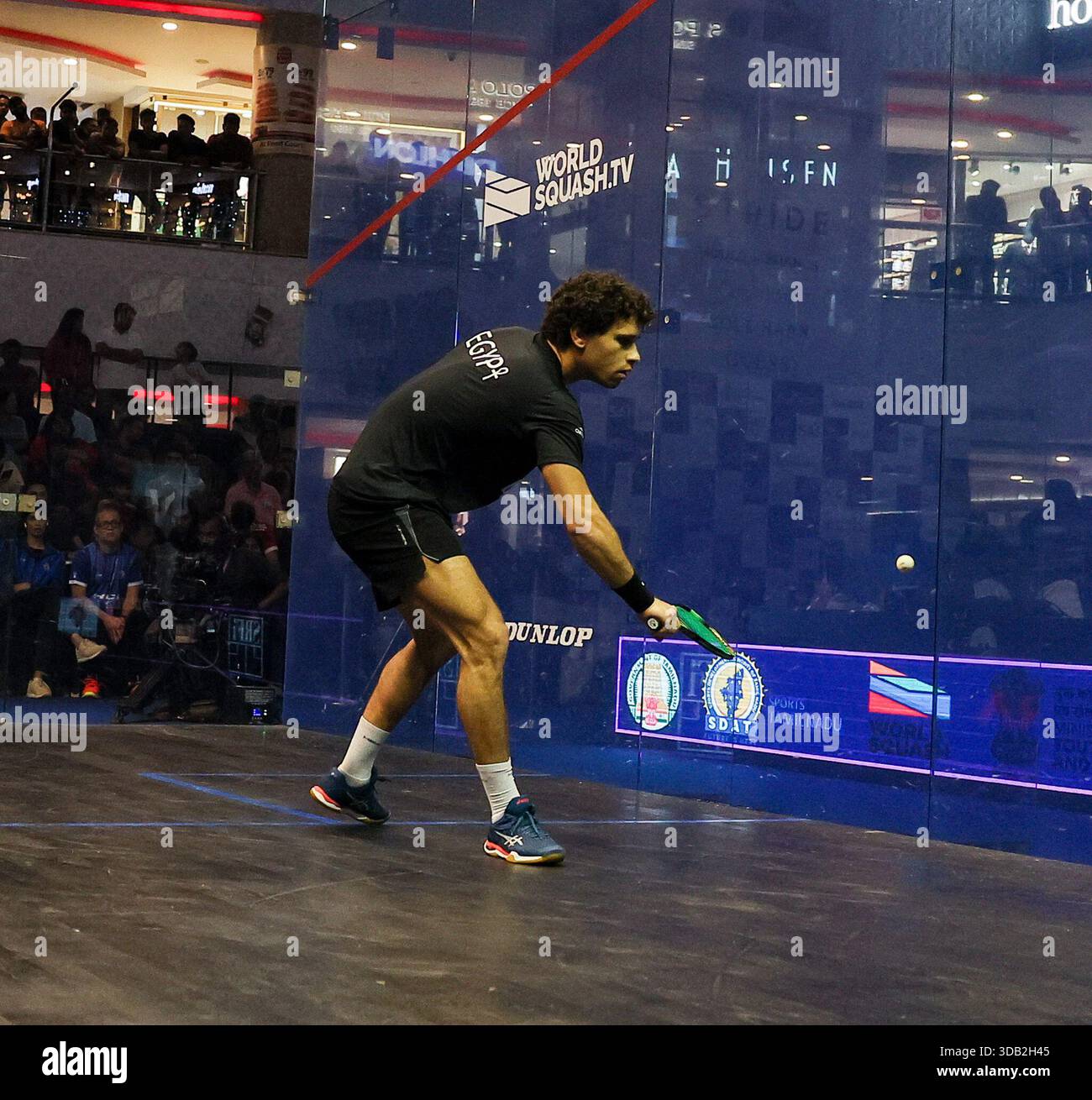 SDAT Squash World Cup 2025 – Chennai, India. “India defeated Egypt 3–0 ...