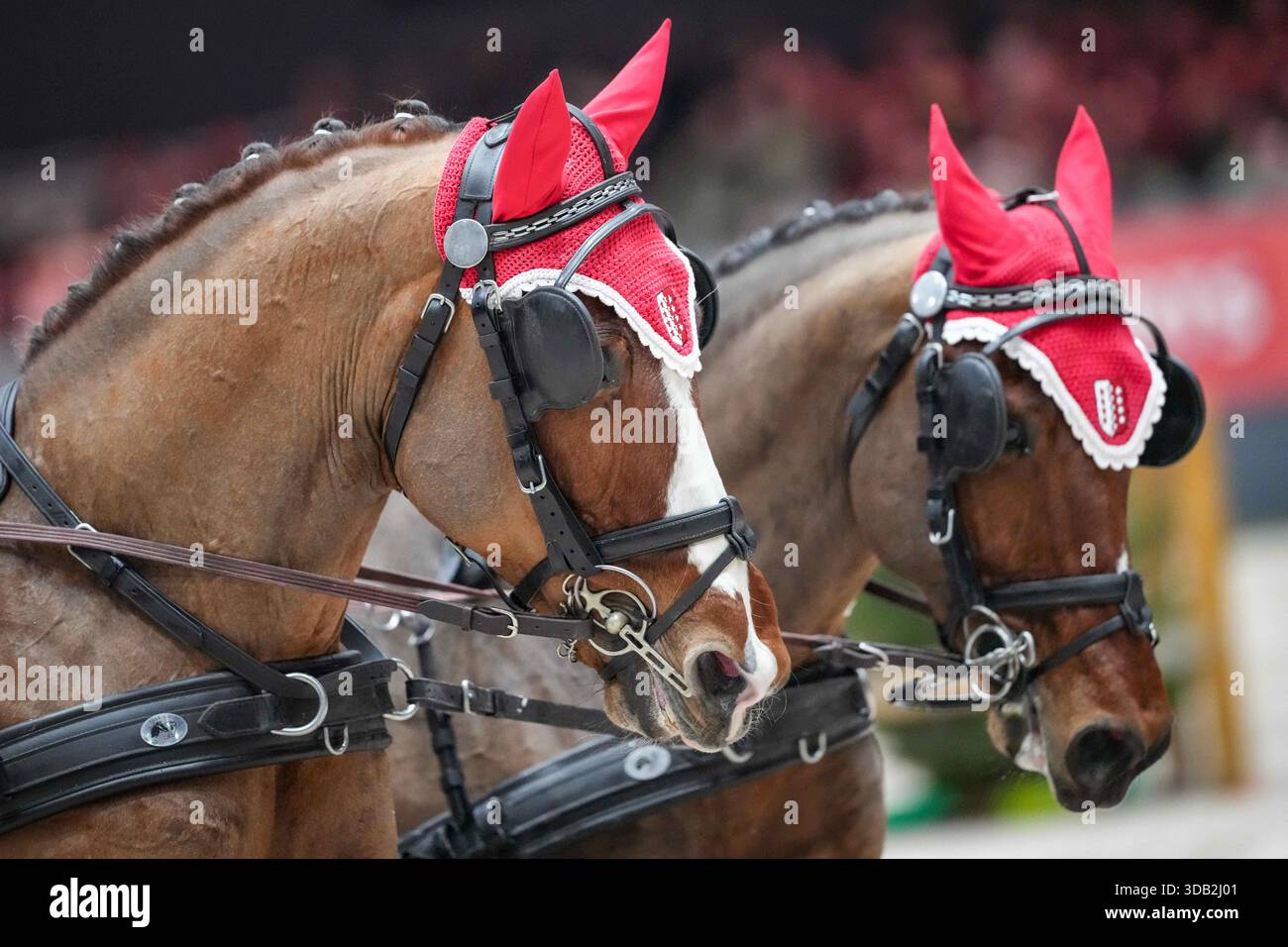 Jerome VOUTAZ (SUI) during the Day 4 of the 64th CHI of Geneva on ...