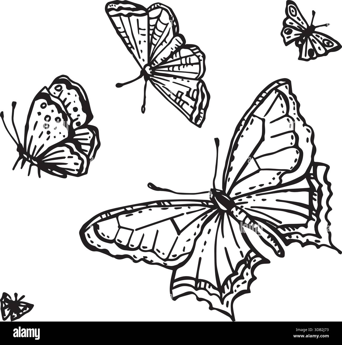 Butterflies clipart Black and White Stock Photos & Images - Alamy