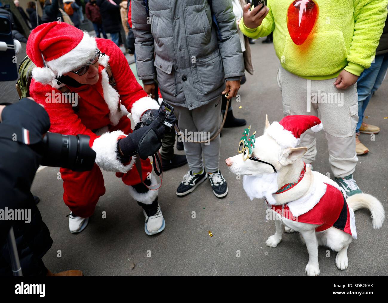 A dog wears a Santa costume and other Christmas themed decorations at ...