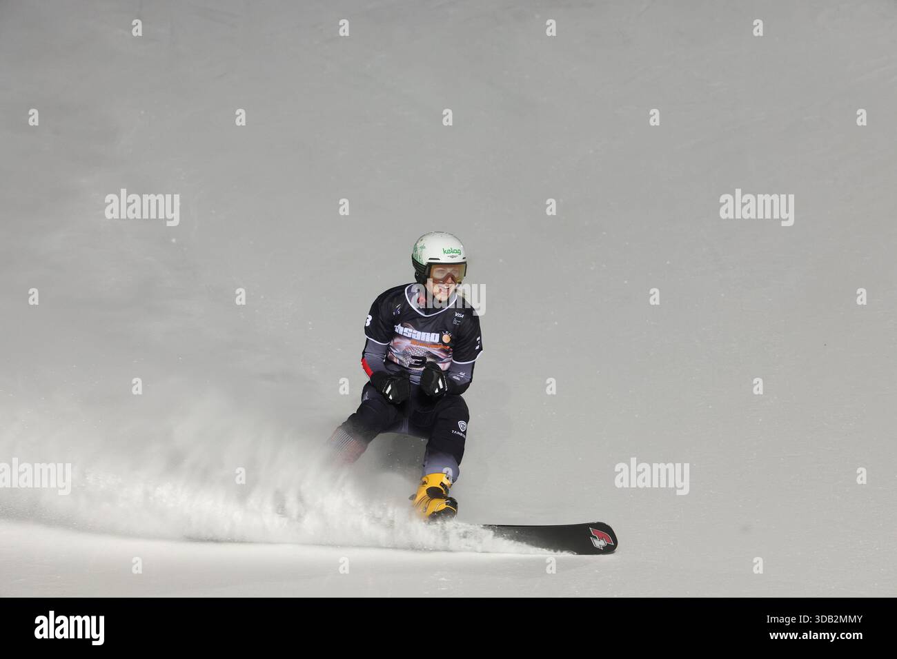 Sabine PAYER of Austria reacts after winning the women's parallel giant ...