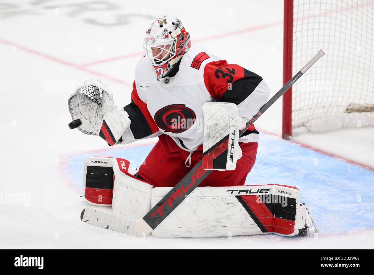 Carolina Hurricanes goaltender Brandon Bussi (32) in action during the ...