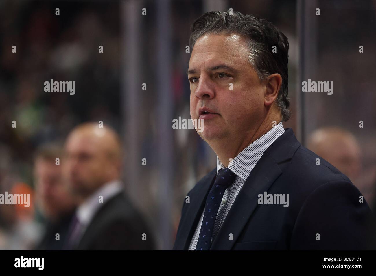 Ottawa Senators head coach Travis Green looks on during the second ...