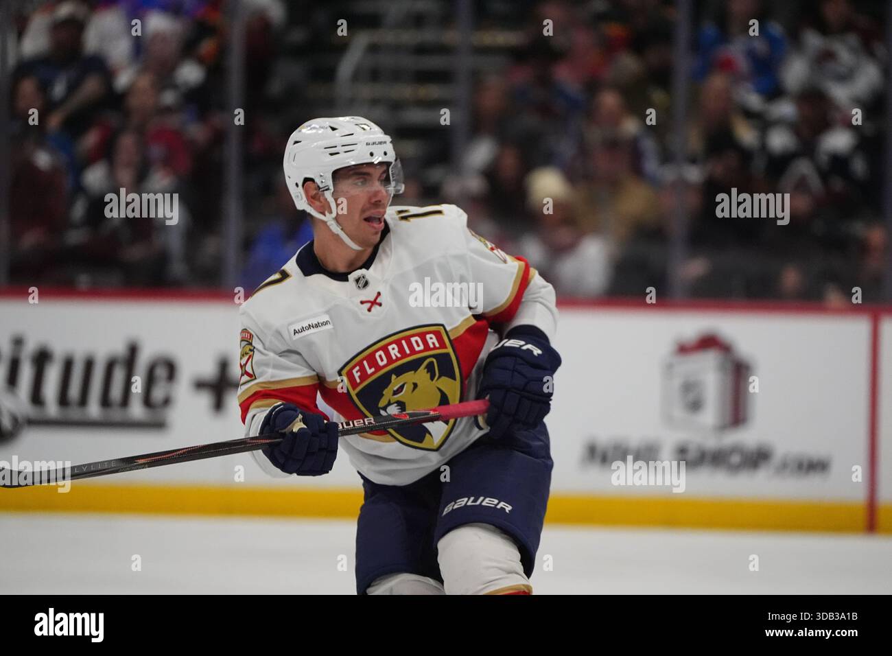 Florida Panthers center Evan Rodrigues (17) in the second period of an ...