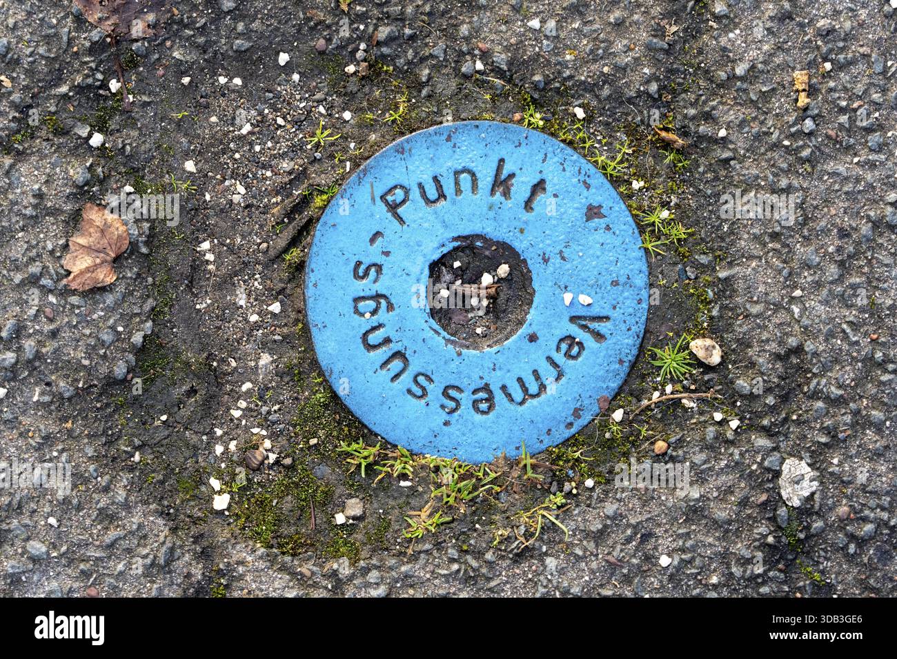 Survey point, in a street, reference point for surveying Stock Photo ...