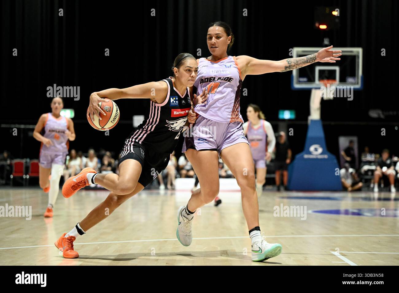 Shaneice Swain of the Flames and Sharne Robati of the Lightning during ...
