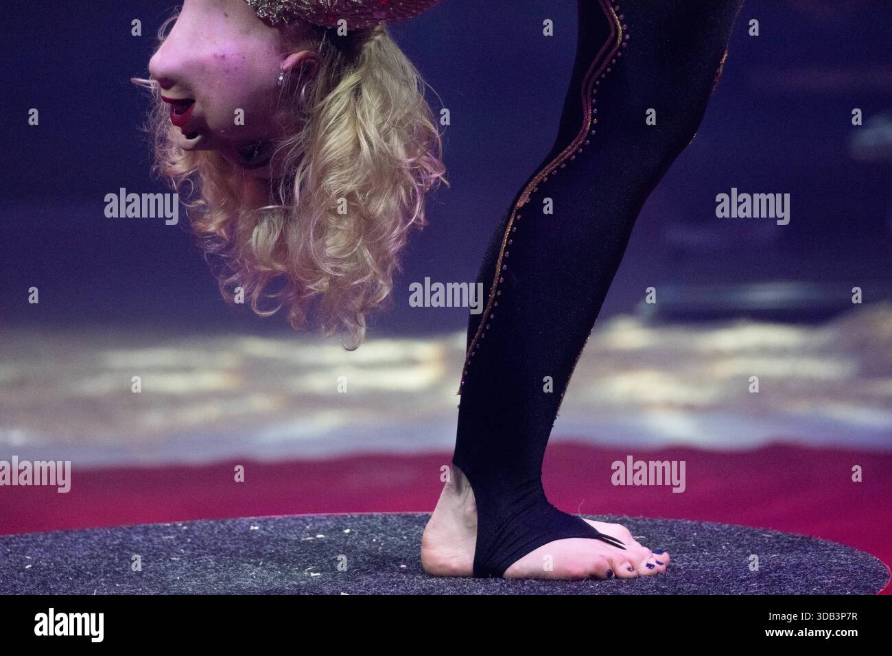 December 13, 2025, Frankfurt, Hesse, Germany: A circus artist performs ...
